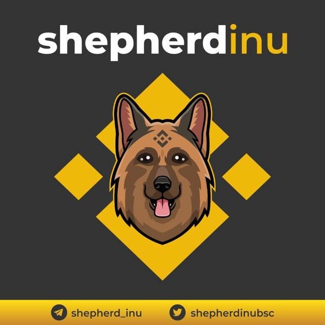 Shepherd Inu announces the first wave-based BSC project for German ...